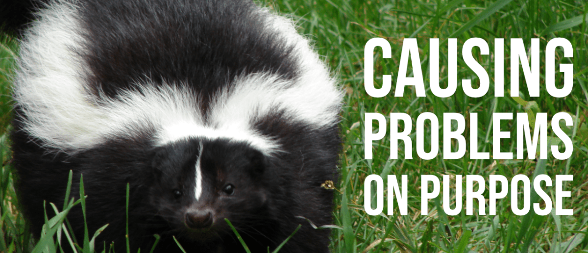 I Think I Will Cause Problems On Purpose – Don't Roll a One